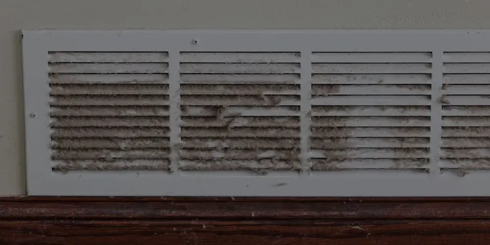 Mold in Air Ducts? A Homeowner's Guide to HVAC Mold